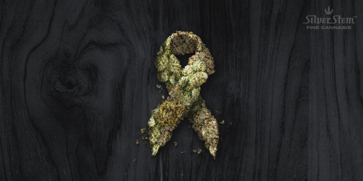 Breast Cancer Patients Use Marijuana to Alleviate Symptoms of the ...