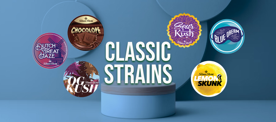 Experience the Best of Classic Cannabis Strains at Silver Stem
