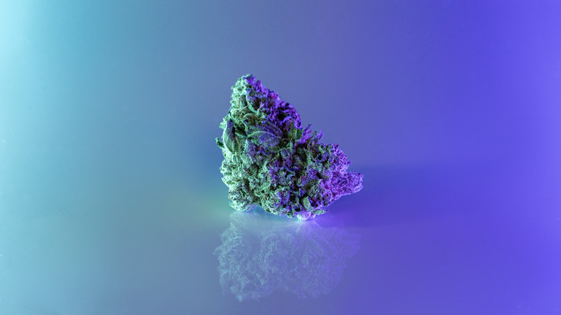 Grape Nilla Taffy Strain Review: Sweet Flavors and Balanced Effects