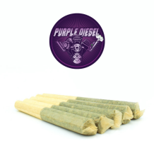 Purple Diesel 1/2g Preroll 5 Pack | Indica-Hybrid
