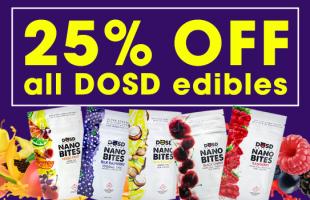 Dutch Treat Haze Weed Review