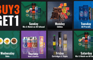 Sun Rocks vs Moon Rocks: What's the Difference? How high does SunRock get?