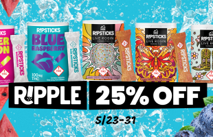 Best Runtz Strains: Flavors, Effects & Potency Guide (2024)