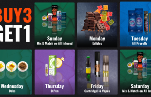 The Evolution of Cannabis Slang: Top Terms Explained