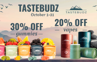 The Evolution of Cannabis Slang: Top Terms Explained