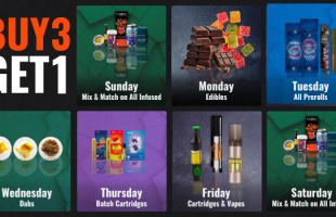 The Evolution of Cannabis Slang: Top Terms Explained